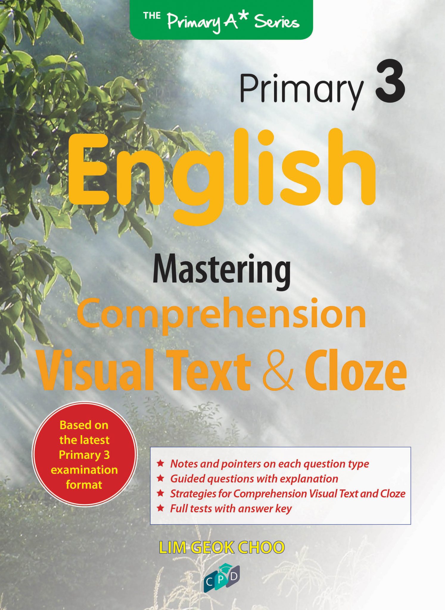 Primary 3 English: Mastering Comprehension Visual Text and Cloze - CPD ...