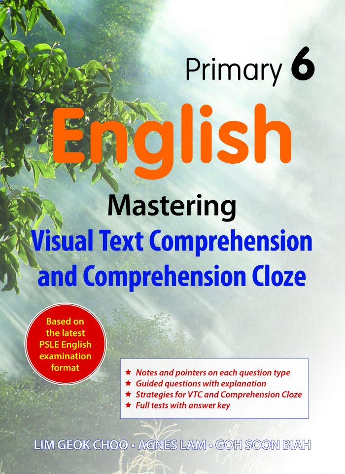 Primary 6 English: Mastering Visual Text Comprehension and ...