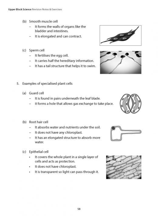 Upper Block Science Revision Notes and Exercises - CPD Singapore ...