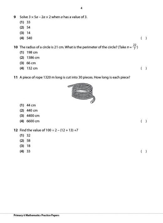 Primary 6 Mathematics Practice Papers - CPD Singapore Education ...