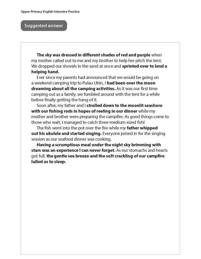 Upper Primary English Intensive Practice Continuous Writing Volume 1 ...