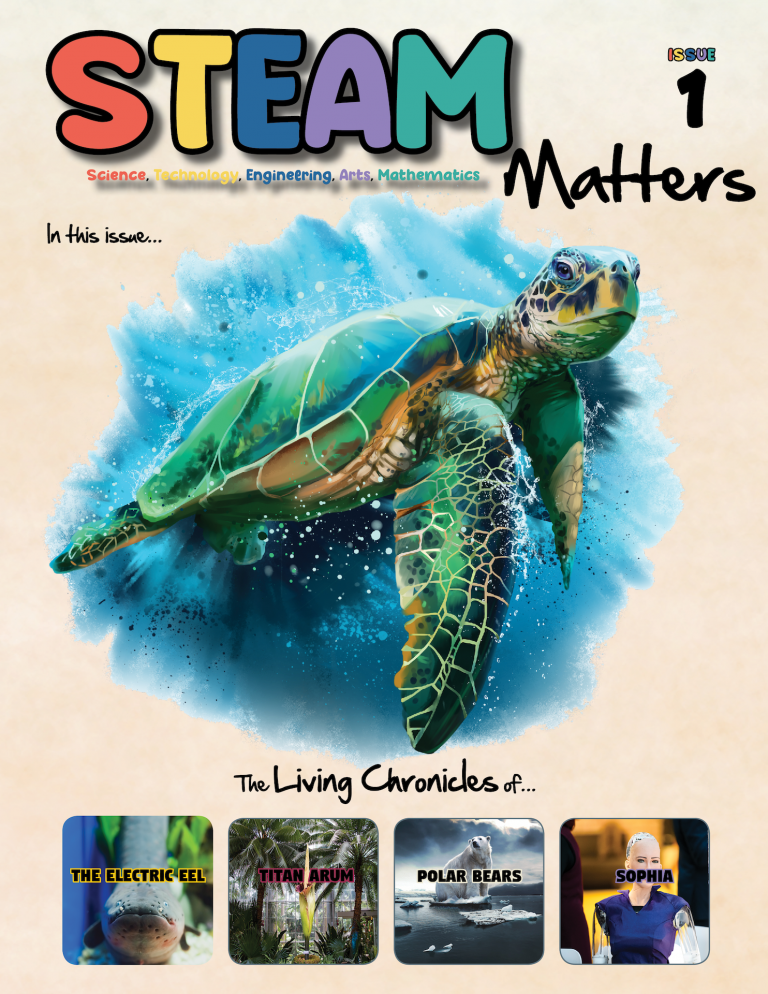 STEAM Magazine: STEAM Matters (Subscription) - CPD Singapore Education ...