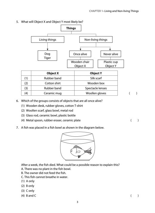 Score AL1 for Science Jumbo PSLE Science Challenging Questions - CPD ...