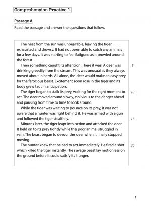 Primary 3 English Comprehension Practice - CPD Singapore Education ...