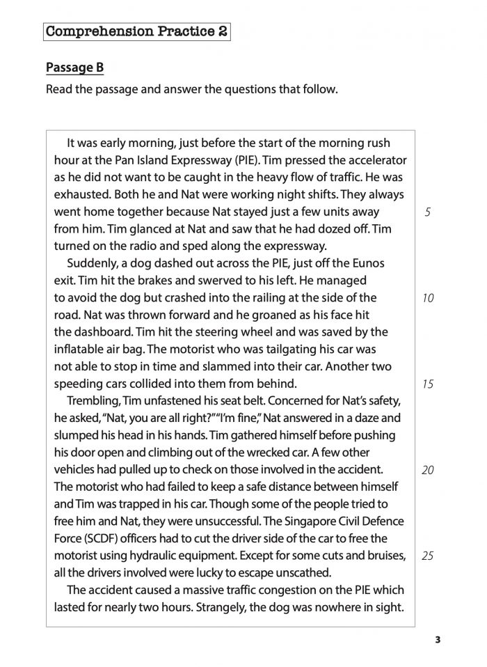 Primary 4 English Comprehension Practice - CPD Singapore Education ...