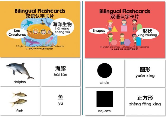 Bilingual (Chinese/English) Flashcards Set - CPD Singapore Education ...