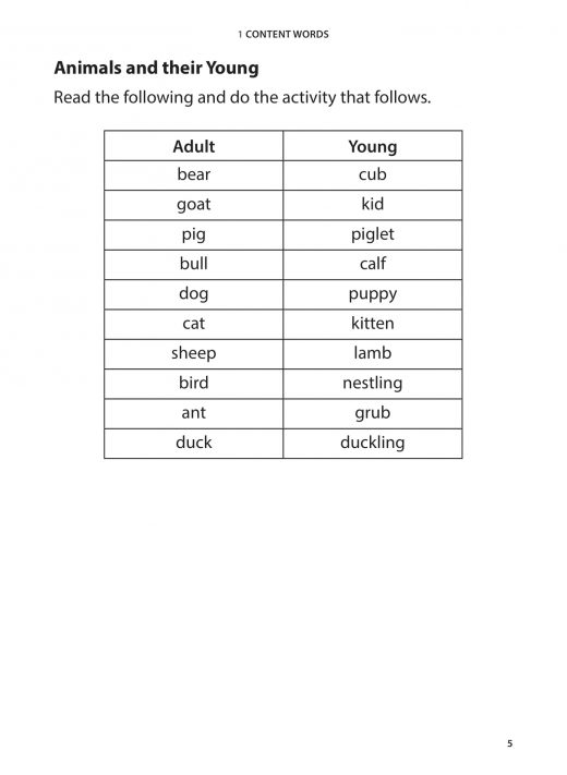 Primary 1 English Vocabulary Practice - CPD Singapore Education ...