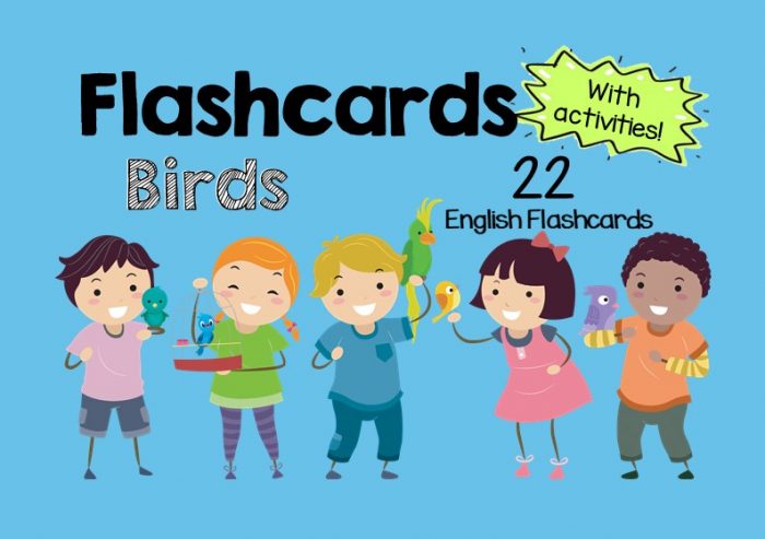 Birds (with activities) - CPD Singapore Education Services Pte Ltd