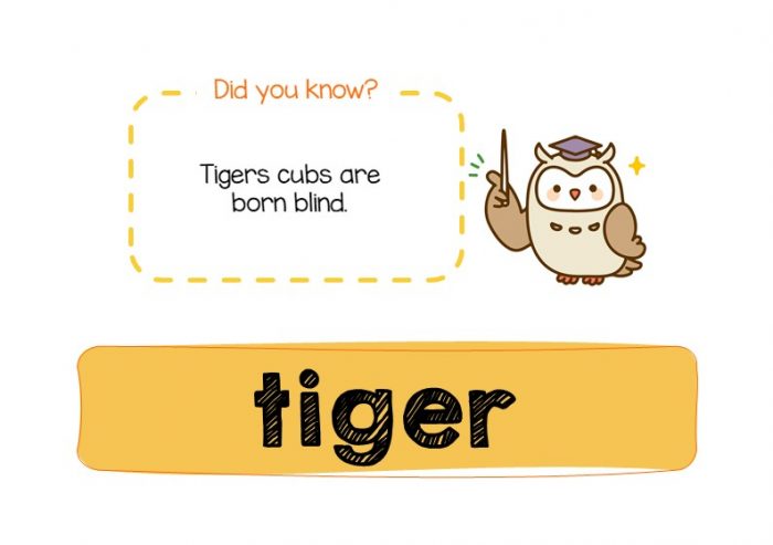 Carnivores (with activities) - CPD Singapore Education Services Pte Ltd