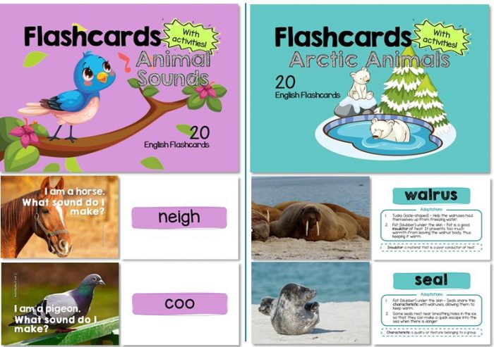 English Flashcards (with activities) Set - CPD Singapore Education ...