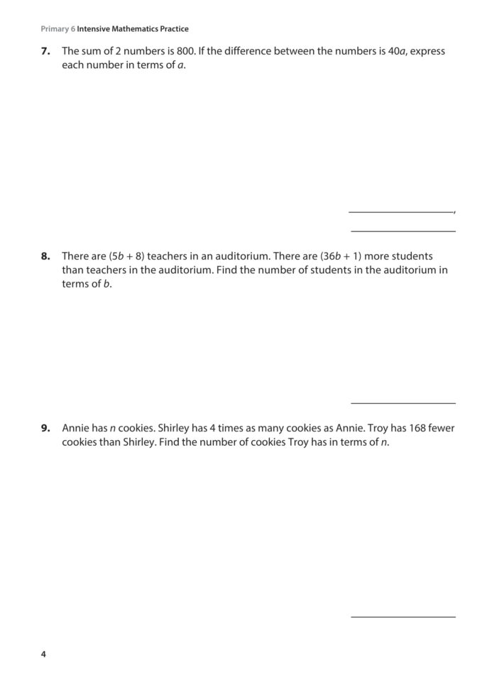 Primary 6 Intensive Mathematics Practice - CPD Singapore Education ...