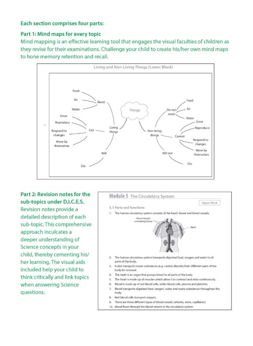 Complete Study Guide: AL1 PSLE Science Lower & Upper Blocks - CPD ...