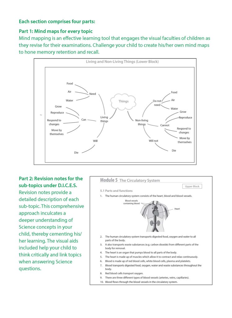Complete Study Guide: AL1 PSLE Science Lower & Upper Blocks - CPD ...