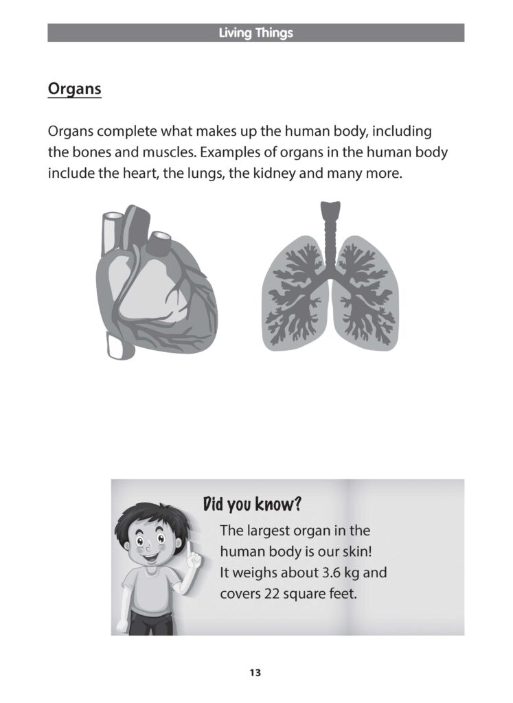 Preparatory Science for Primary 1 & 2 - CPD Singapore Education ...