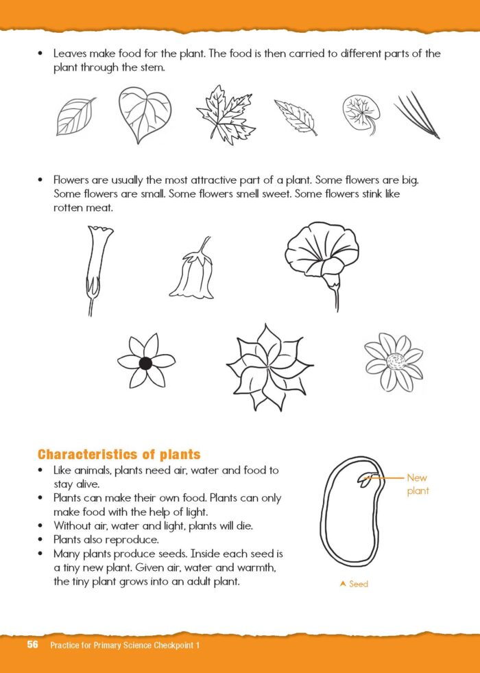 Practice for Primary Science Checkpoint 1 - CPD Singapore Education ...