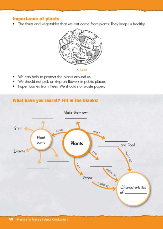 Practice for Primary Science Checkpoint 1 - CPD Singapore Education ...