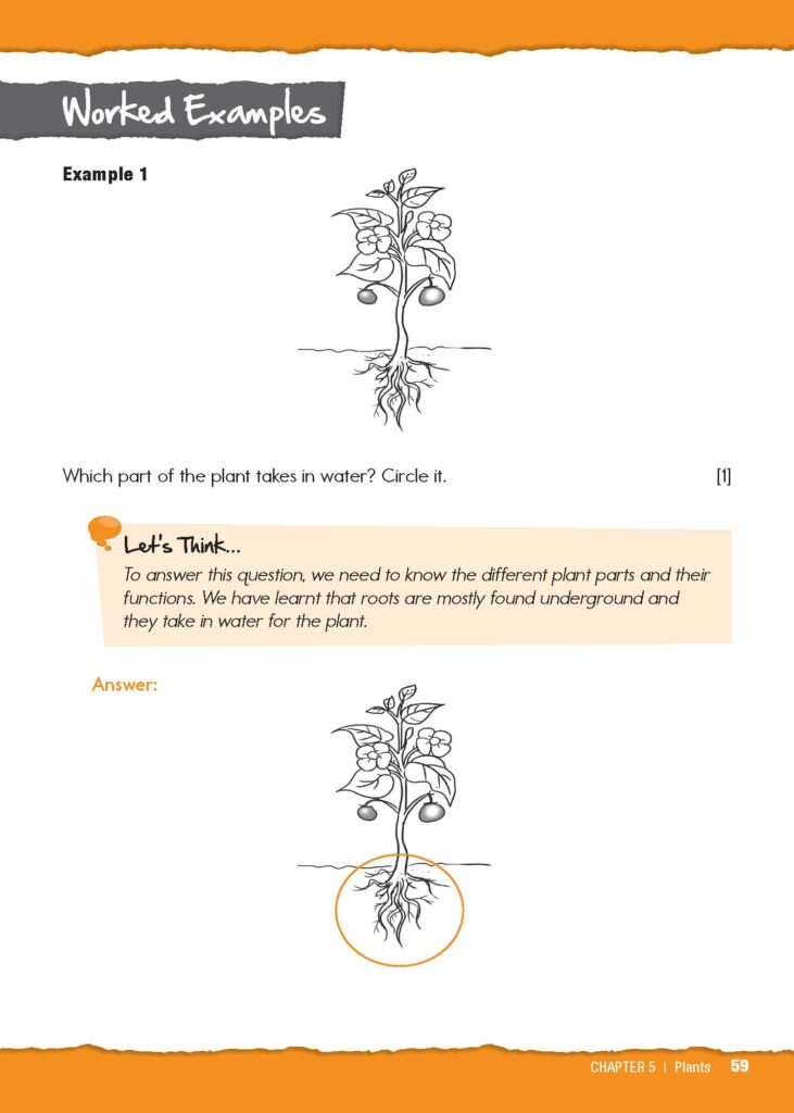 Practice for Primary Science Checkpoint 1 - CPD Singapore Education ...