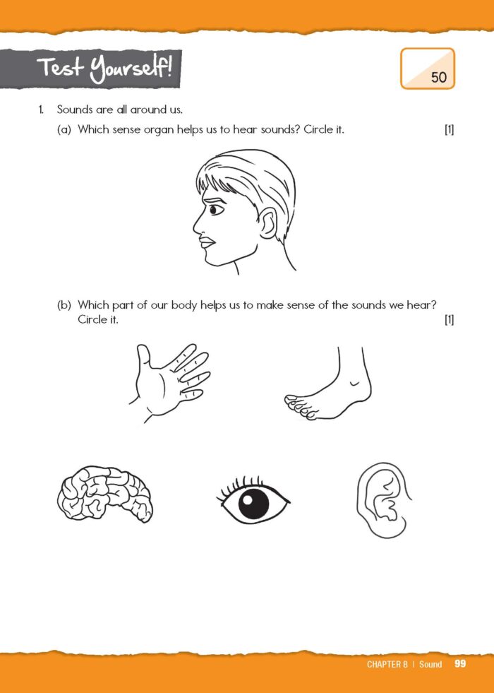 Practice for Primary Science Checkpoint 1 - CPD Singapore Education ...