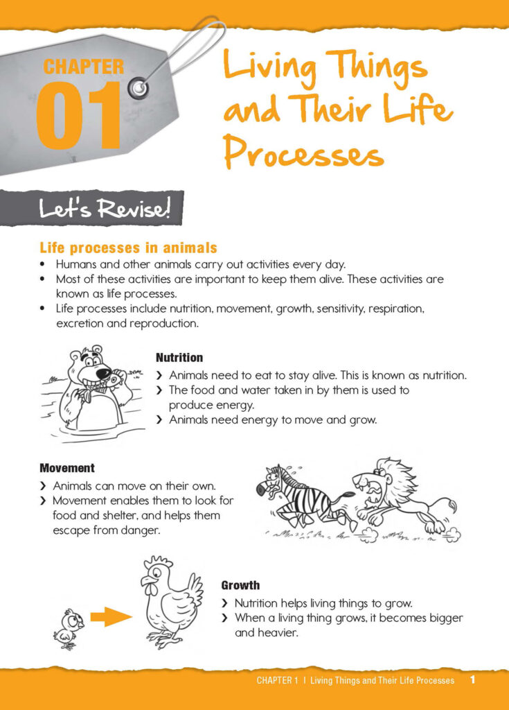 Practice for Primary Science Checkpoint 3 - CPD Singapore Education ...