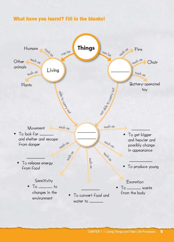 Practice for Primary Science Checkpoint 3 - CPD Singapore Education ...