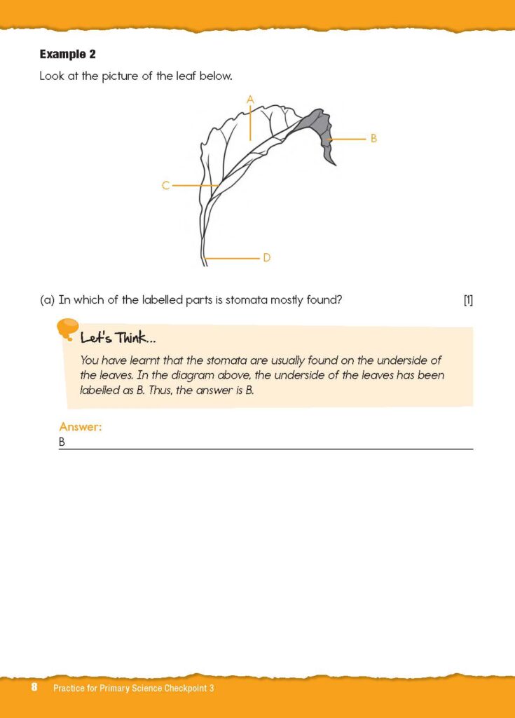 Practice for Primary Science Checkpoint 3 - CPD Singapore Education ...