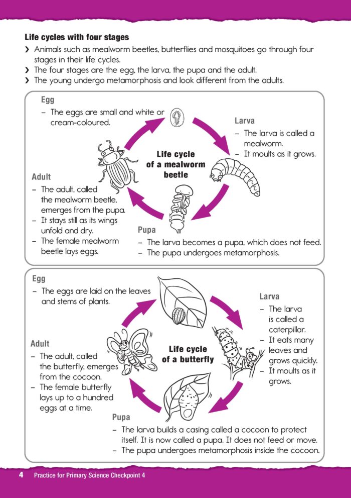 Practice for Primary Science Checkpoint 4 - CPD Singapore Education ...