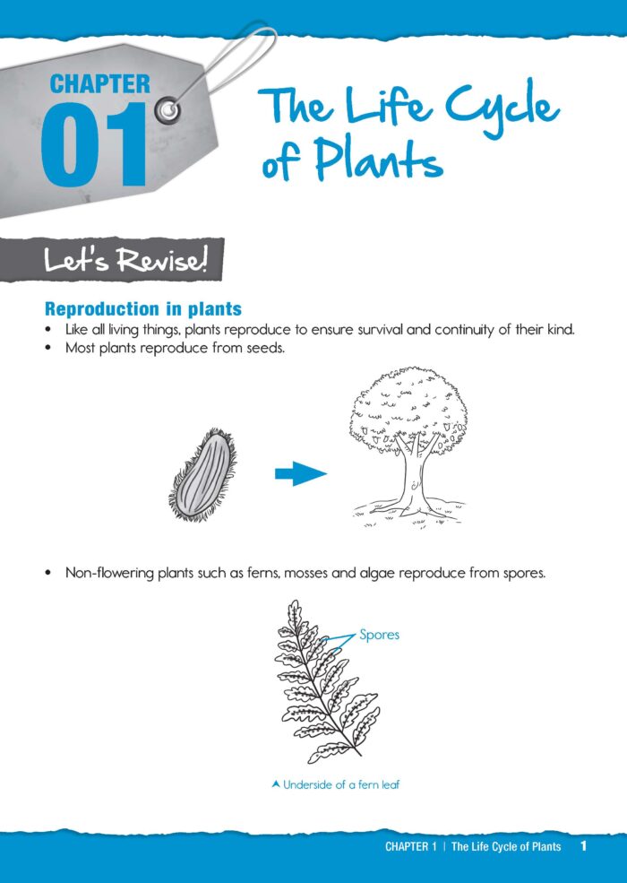 Practice for Primary Science Checkpoint 5 - CPD Singapore Education ...