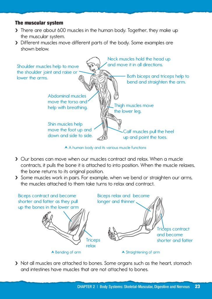 Practice for Primary Science Checkpoint 5 - CPD Singapore Education ...