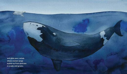 Sea Bear: A Journal for Survival - CPD Singapore Education Services Pte Ltd