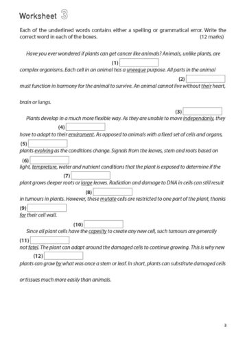 100 English Worksheets Primary 5 – Editing - CPD Singapore Education ...