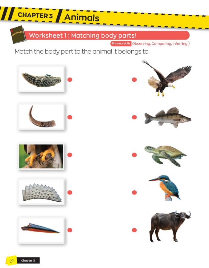 Active Science Workbook 2 - CPD Singapore Education Services Pte Ltd