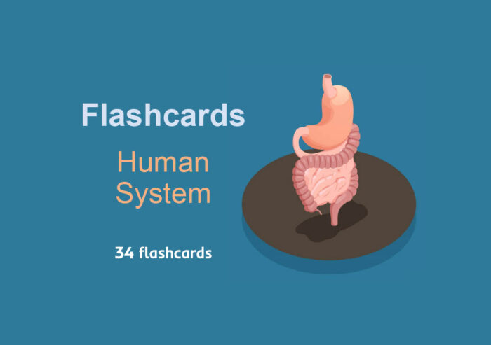 Human System - CPD Singapore Education Services Pte Ltd