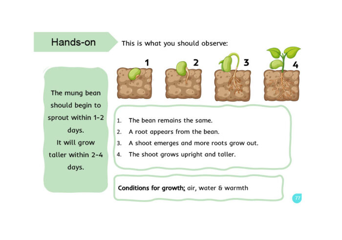 Life Cycle in Plants and Animals - CPD Singapore Education Services Pte Ltd