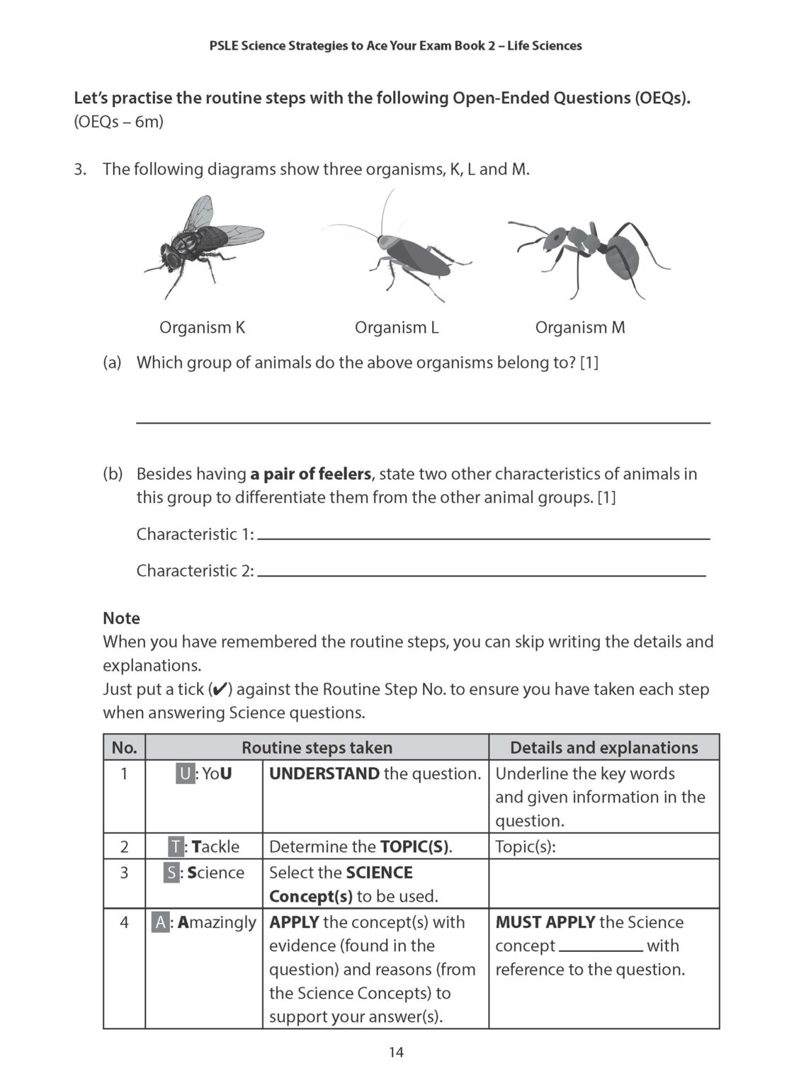 Book Review: PSLE Science Strategies to Ace Your Exam series by Stella ...