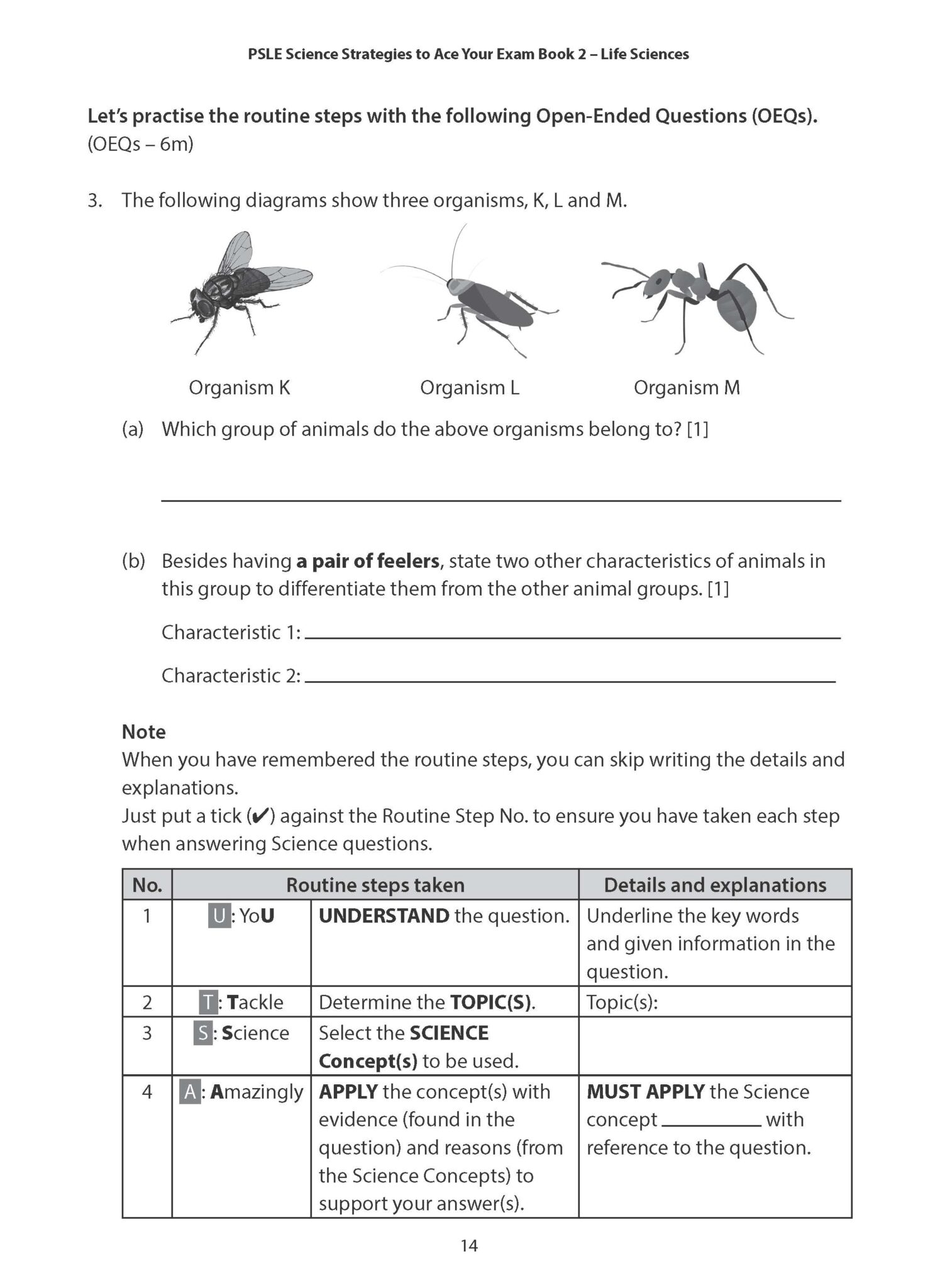 Book Review: PSLE Science Strategies to Ace Your Exam series by Stella ...