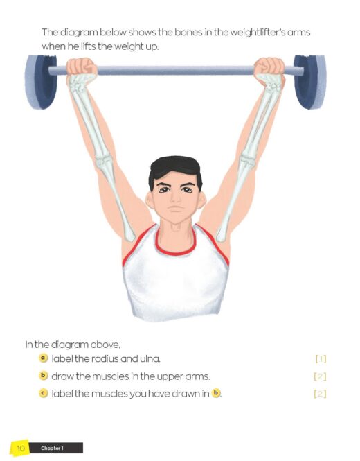 Active Science Workbook 4 - CPD Singapore Education Services Pte Ltd