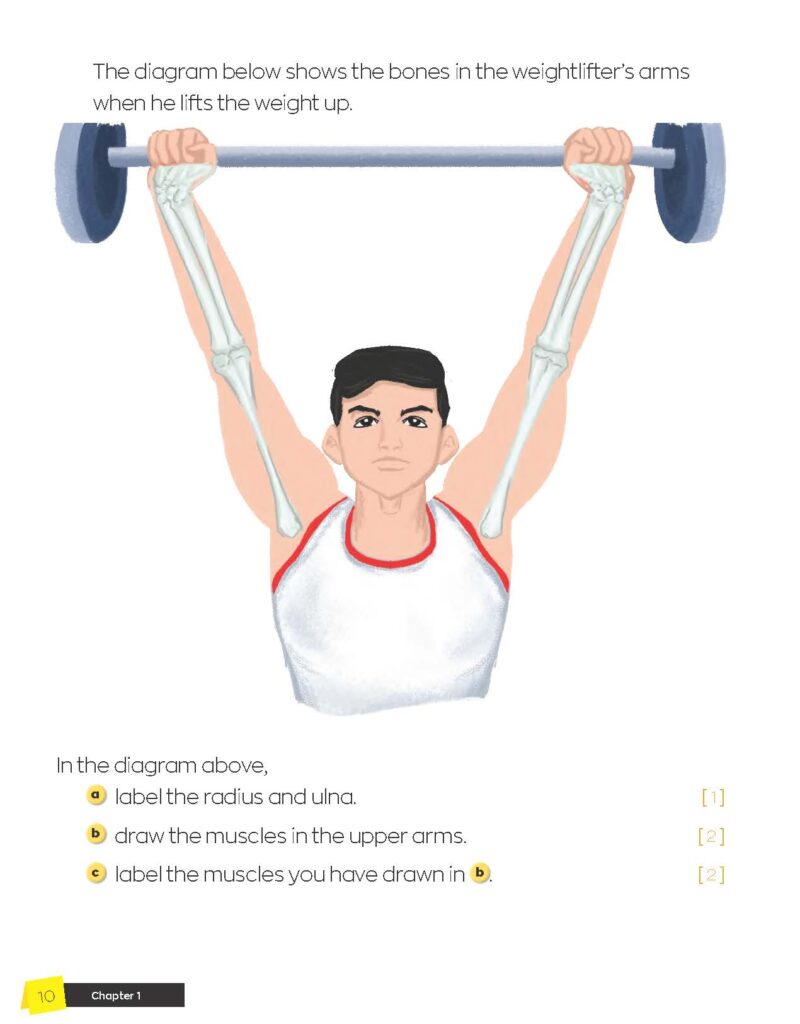 Active Science Workbook 4 - CPD Singapore Education Services Pte Ltd