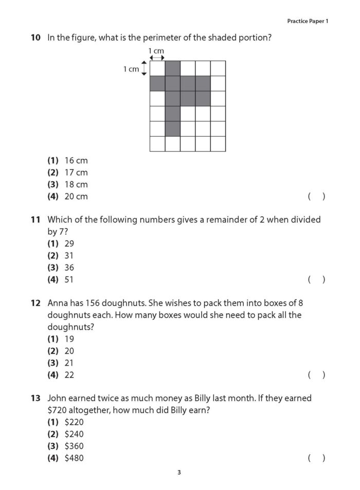Primary 3 Mathematics Practice Papers (Second edition) - CPD Singapore ...