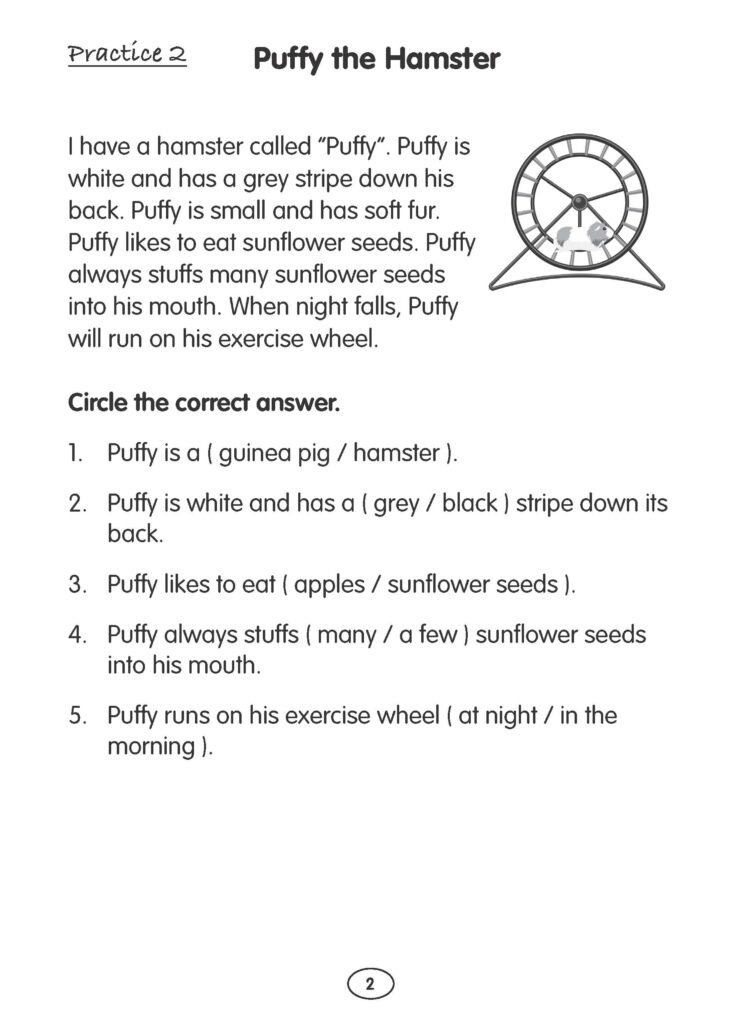 K2 To Primary 1 English Reading Comprehension Targeted Practice ...