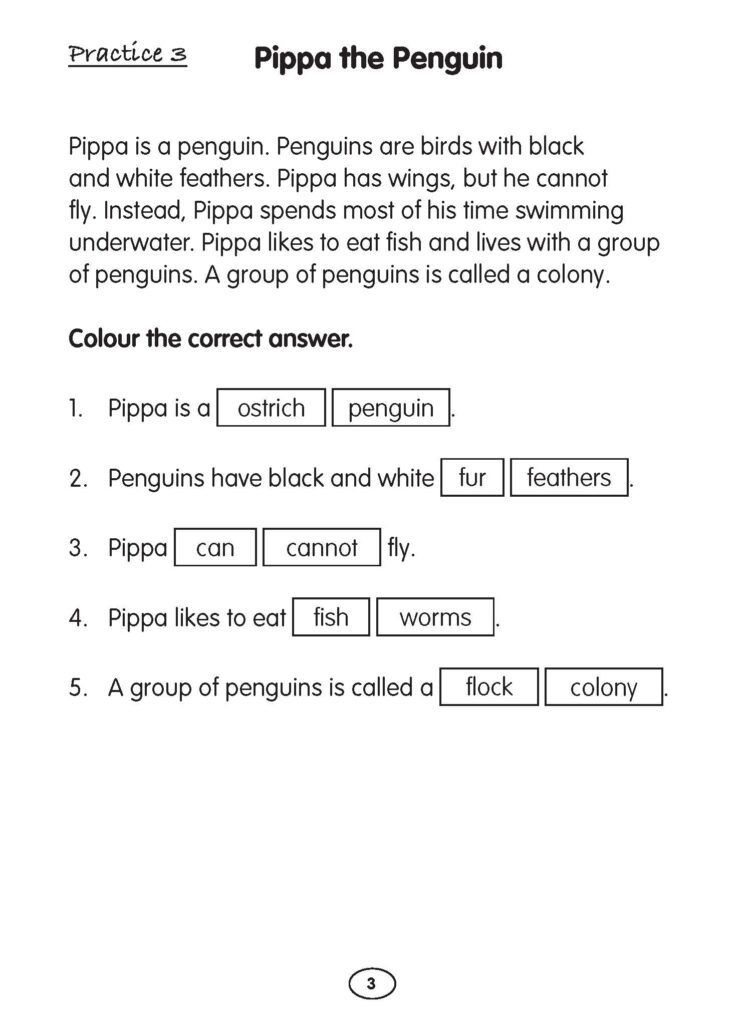 K2 To Primary 1 English Reading Comprehension Targeted Practice ...
