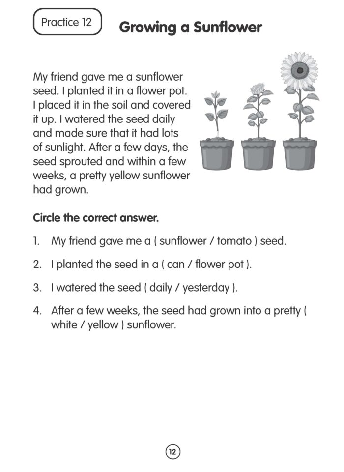 Enhance Your English Comprehension Skills With Text-Based Questions ...