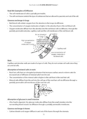 Key Study Guide: O-Level Biology Volume 1 Revision Notes & Practice ...
