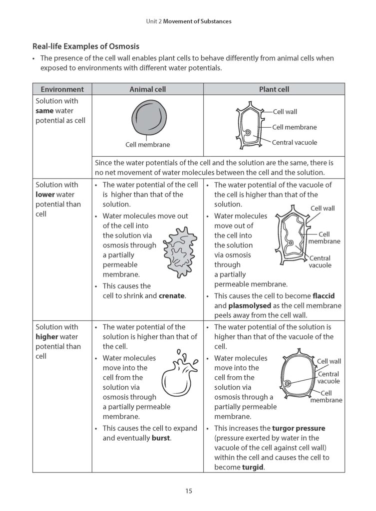 Key Study Guide: O-Level Biology Volume 1 Revision Notes & Practice ...