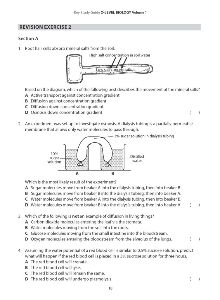Key Study Guide: O-Level Biology Volume 1 Revision Notes & Practice ...